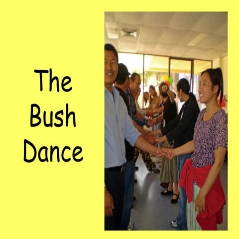 The Bush Dance | PPS