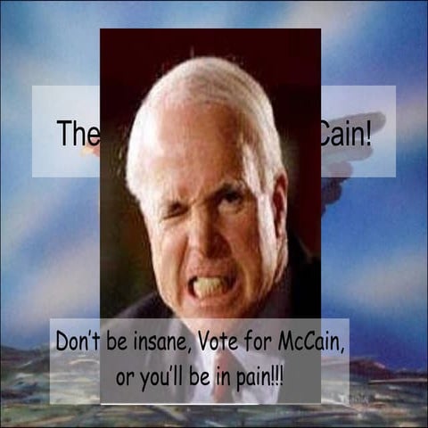The Campaign For Mc Cain! | PPT