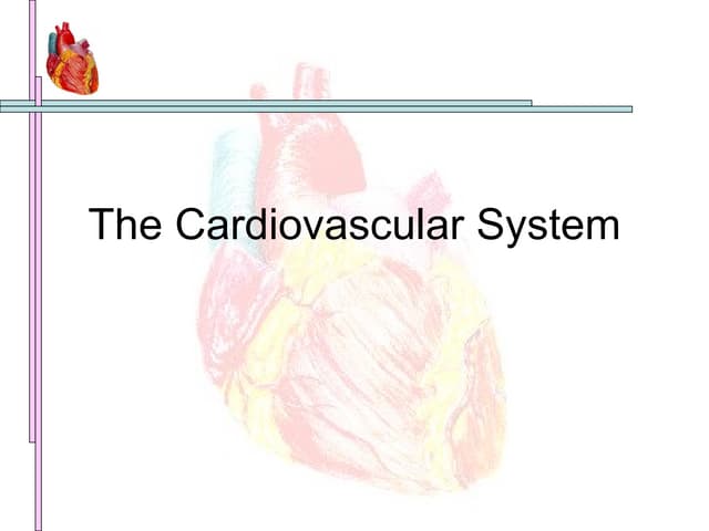 Anatomy of the Cardiovascular system | PPTX