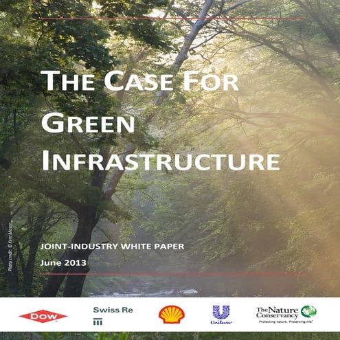 The Case for Green Infrastructure | PDF