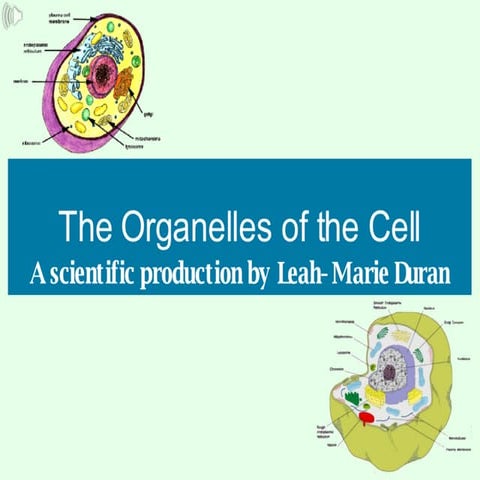 The Cell | PDF
