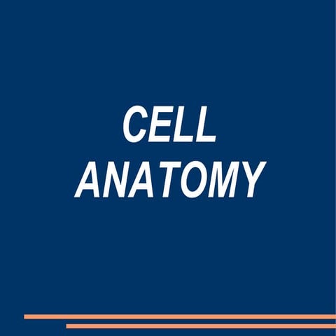The Cell (Slideshow) | PPT