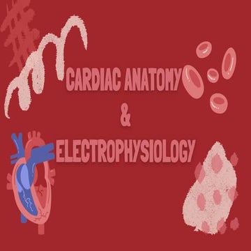 The-Circulatory-System-Education-Presentation-1.pdf