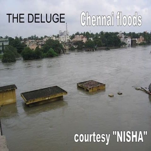 The Deluge | PPS | Weather | Science