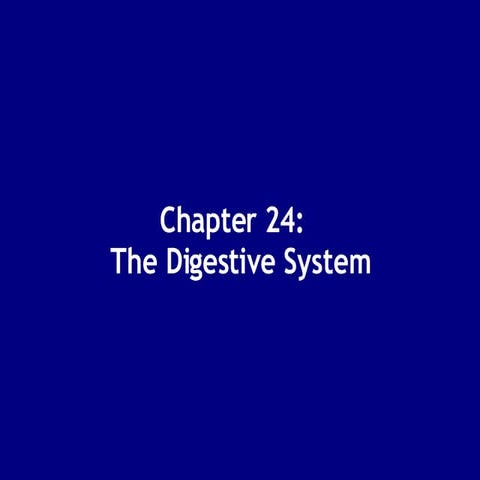 The Digestive System | PPT
