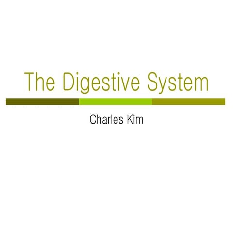 The Digestive System | PPT