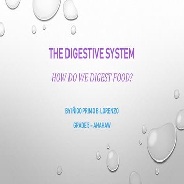 THE-DIGESTIVE-SYSTEM.pptx
