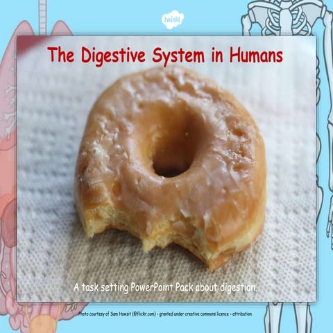 The-Digestive-System-in-Humans-Powerpoint.ppt