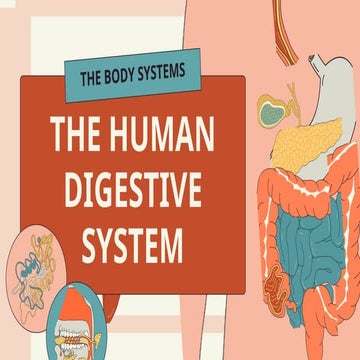 The-Digestive-System-Science.pptx.pdffff | PPTX