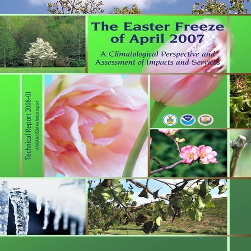The Easter Freeze Of April 2007 | PDF
