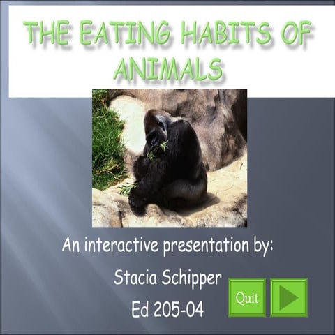 Herbivore, carnivore and omnivore animals | PPT