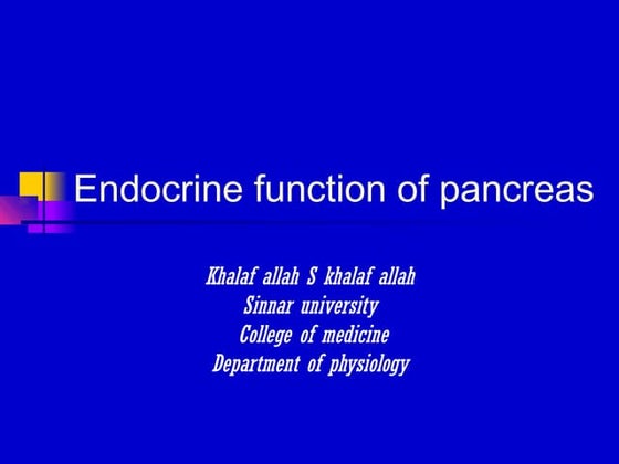 Pancreas - Endocrine System | PPT