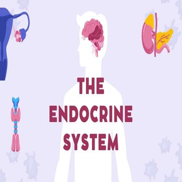 THE-ENDOCRINE-SYSTEM and their functions | PPTX