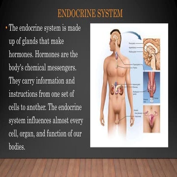 THE-ENDOCRINE-SYSTEM-ppt.pptx