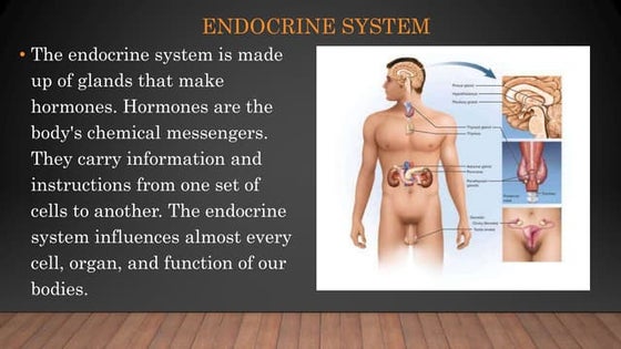 Endocrine Organs and their physiological functions in fishes by B.pptx | Thyroid Disorders ...