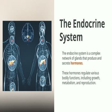 The Role of Hormones in the Human Body Education Presentation in Beige ...