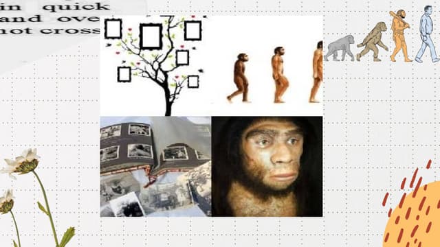 Media and Information Literacy: The Evolution of Traditional to New ...