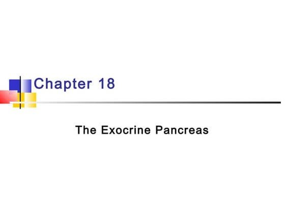 Pancreas - Endocrine System | PPT