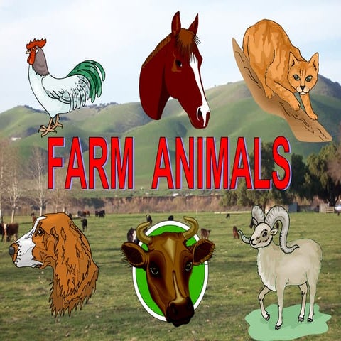 The farm | PPT
