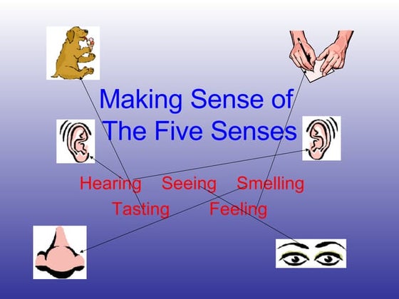 Grade3 sense organs | PPTX