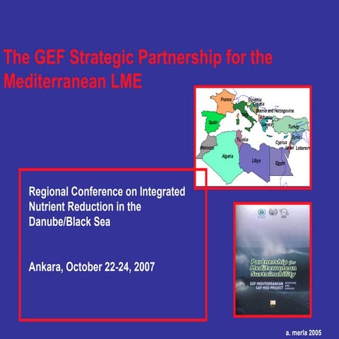 The GEF Strategic Partnership for the Mediterranean LME (Battaglini) | PPT