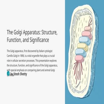 The-Golgi-Apparatus-Structure-Function-and-Significance.pptx