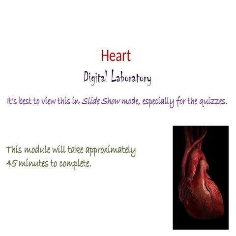 The - Heart presentation - i.pptx