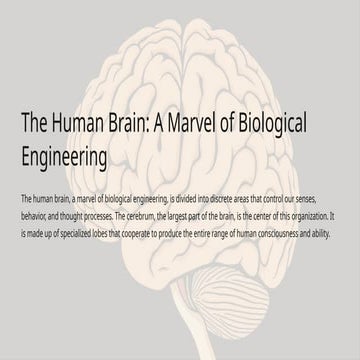 The-Human-Brain-A-Marvel-of-Biological-Engineering.pptx