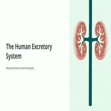 The-Human-Excretory-System-for -Class 10 subject science | PPTX