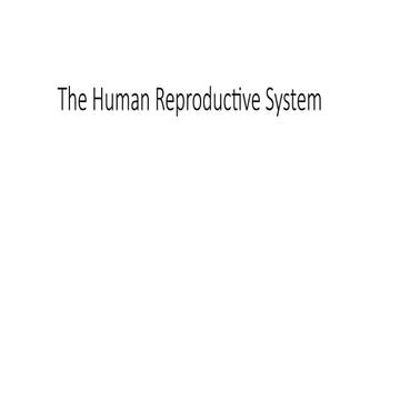 Grade 10 The-Human-Reproductive-System.pptx