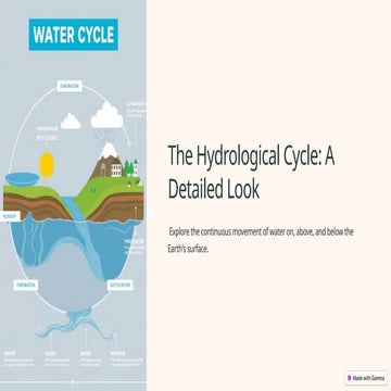 The Water Cycle: Earth's Essential Process | PDF
