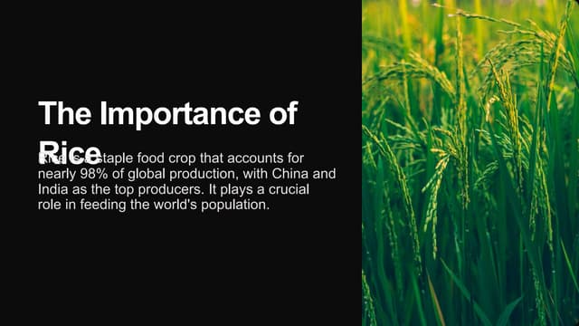 RICE TUNGRO VIRUS | PPTX