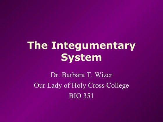 chap06_powerpoint_le2.ppt integumentary system | PPT
