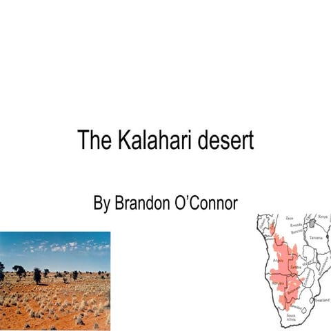 Kalahari Desert Climate