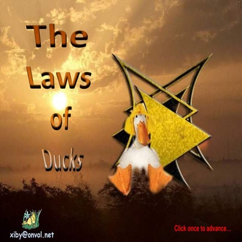 The Laws Of Ducks | PPS