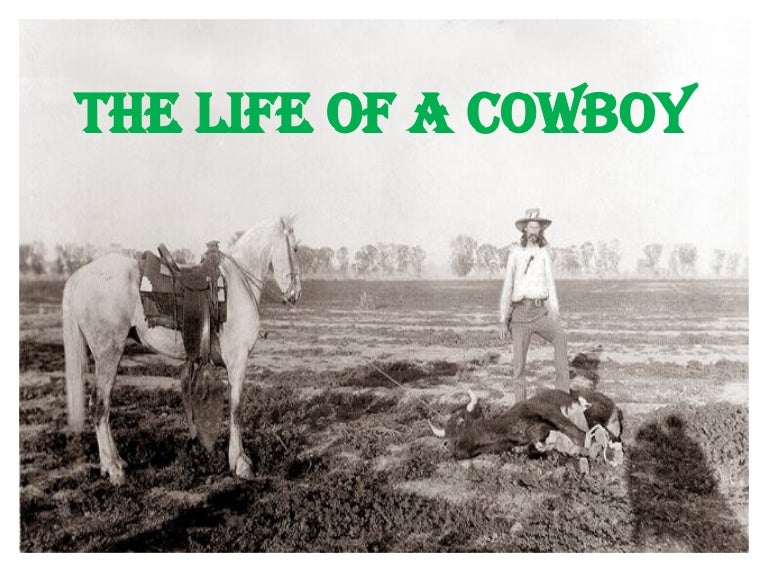 The Life Of A Cowboy