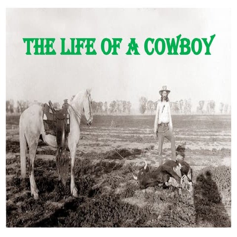 The Life Of A Cowboy | PPT