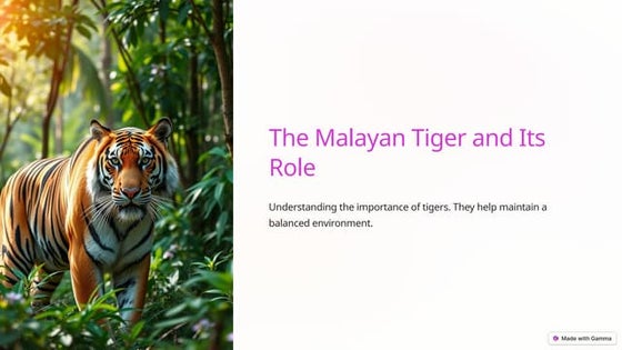 Adaptation-of-Tigers-to-Tropical-Environments-The-Malayan-Tiger.pptx