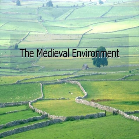 The Medieval Environment | PPT