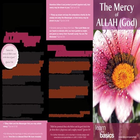 The Mercy of ALLAH ( God ) ( pamphlet ) | PDF