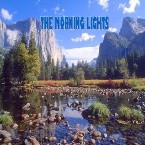 The Morning Lights | PPS
