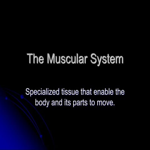 Major muscles 1 | PPSX