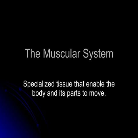The muscular-system-powerpoint-1227697713114530-8 | PPT
