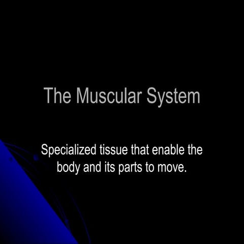 The muscular-system-powerpoint-1227697713114530-8 | PPT