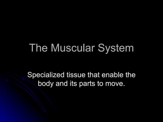The muscular system powerpoint | PPT