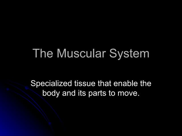 Muscles | PPTX