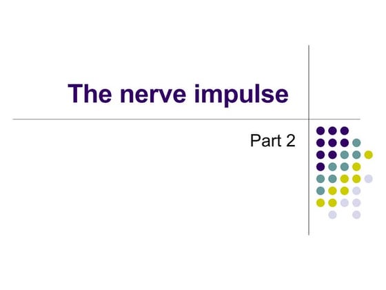 Transmission of nerve impulses | PPT | Brain and Nervous System ...
