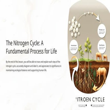 The-Nitrogen-Cycle-A-Fundamental-Process-for-Life.pptx