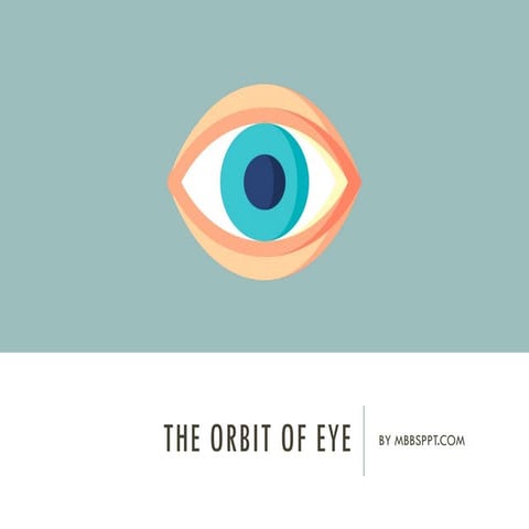 The-Orbit-Of-Eye ophthalmology presentation | PPTX