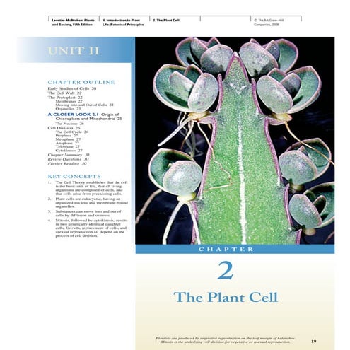 The-Plant-Cell.pdf........................ | PDF
